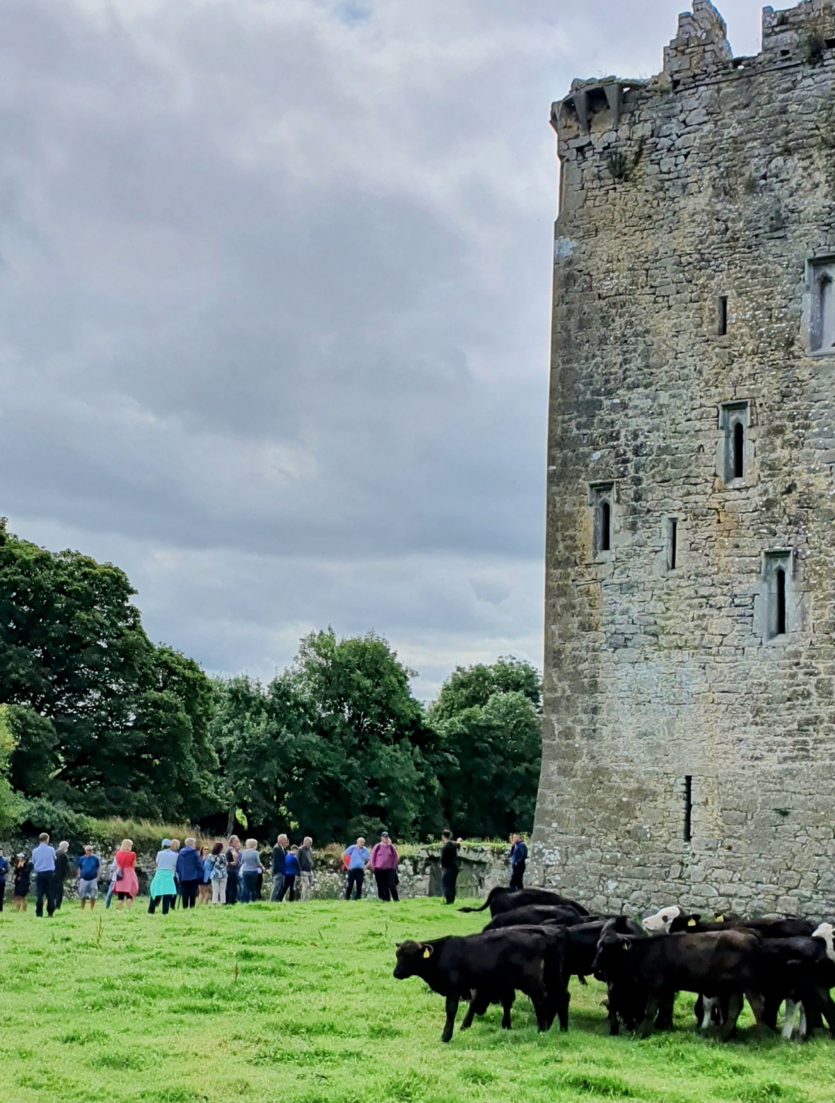 2023 Gathering Final details - Irish Kennedy Heritage Group